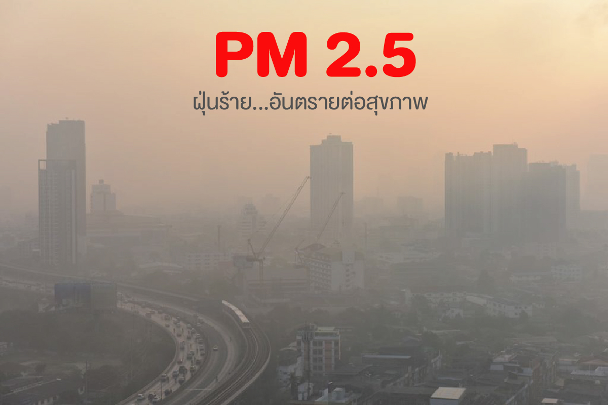 PM 2.5 ฝุ่นร้ายอันตรายต่อสุขภาพ